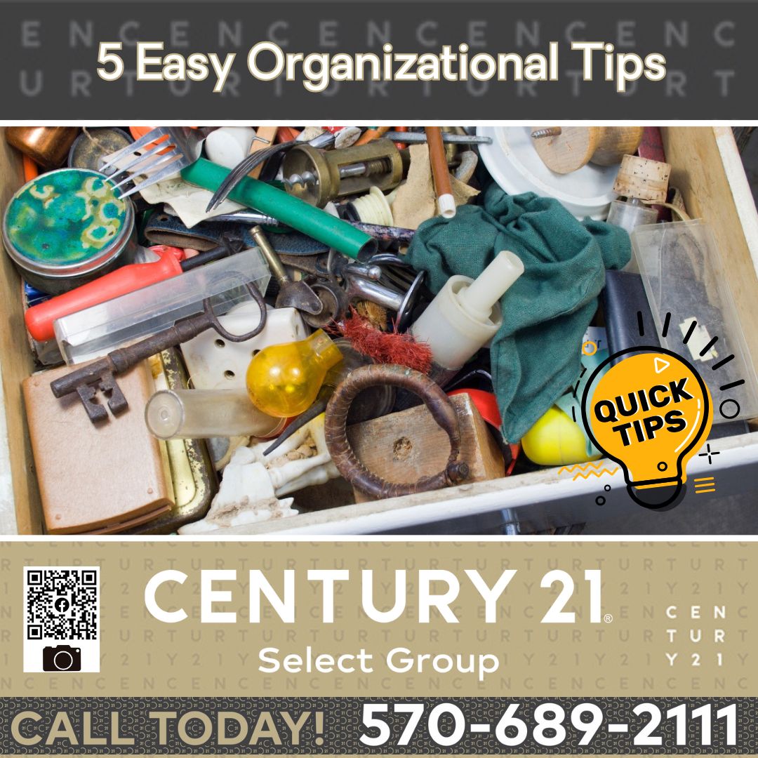 5 Easy Organizational Tips